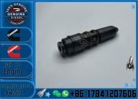 China Original Brand New Diesel Engine Parts NTA855 Fuel Injector 3047973 for diesel Engine for sale