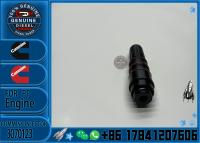 China Caanass High Quality Truck Spare Parts 4088725 1088725N 1464994 Fuel Injector Engine Part Use for Scania Truck Accessories for sale