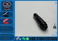 China Caanass High Quality Truck Spare Parts 4088725 1088725N 1464994 Fuel Injector Engine Part Use for Scania Truck Accessories for sale