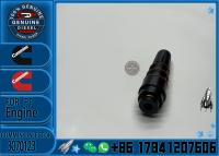China Caanass High Quality Truck Spare Parts 4088725 1088725N 1464994 Fuel Injector Engine Part Use for Scania Truck Accessories for sale