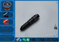 China 4913325 Brand New Fuel Injector Suitable for Construction Machinery Nt855 Engine Parts Fuel Injector Assembly for sale