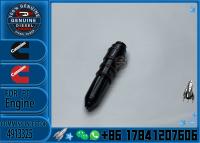 China 4913325 Brand New Fuel Injector Suitable for Construction Machinery Nt855 Engine Parts Fuel Injector Assembly for sale
