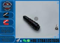 China 4913325 Brand New Fuel Injector Suitable for Construction Machinery Nt855 Engine Parts Fuel Injector Assembly for sale