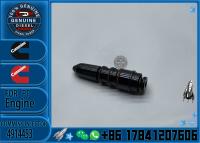 China 4914453 Marine Engine Parts Original NTA855 Injector 4914453 for sale