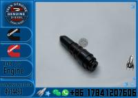 China 4914453 Marine Engine Parts Original NTA855 Injector 4914453 for sale