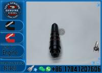 China 4914453 Marine Engine Parts Original NTA855 Injector 4914453 for sale