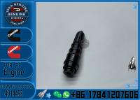 China 4914453 Marine Engine Parts Original NTA855 Injector 4914453 for sale