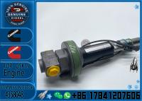 China Diesel Fuel Injector 4928106 FOOBLOJ020 4089972 Y431K05417 for  QSK19 QSK38 QSK50 QSK60 Engine for sale