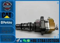 China diesel Fuel Injecor 3126B/3166E 173-9379 1739379 198-6605 1986605 2225966 10R-0781 2225966 for sale