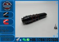 China Common Rail Diesel Fuel Injector Assembly 3054123 4914453 for  Engine PTN855 Series for sale