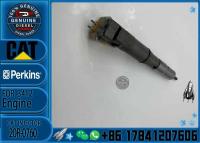 China C31 Diesel Engine Injector Common Rail 20R-4147 174-7527 20R-0760 173-9272 232-1173 10R-1265 for sale