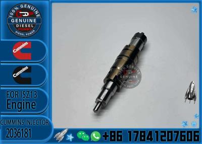 China Diesel Engine Parts Excavator XPI Diesel Injector 1933612 2036181 for Scania RDC13A DC16A Engine for sale