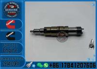 China Hot Sale Great Service Fuel Injector 4327147 4307217 2897320 2894920PX 5579415 5579415PX 2872405 2894920 With Cooper Sleeve for sale