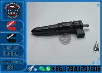 China High Quality Aftermarket Fuel Injector 3411821 3018835 3064881 Fuel Injector 3406604 for  Fuel Injector for sale