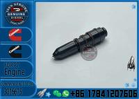 China New 3016675 3016676 3054218 3054220 3054228 3053124 207588 3001485 Common Rail Fuel Injector for  KTA19 QSK19 KTA38 KTA50 for sale