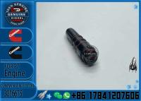 China New 3016675 3016676 3054218 3054220 3054228 3053124 207588 3001485 Common Rail Fuel Injector for  KTA19 QSK19 KTA38 KTA50 for sale
