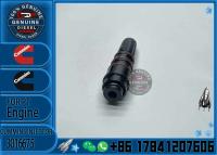 China New 3016675 3016676 3054218 3054220 3054228 3053124 207588 3001485 Common Rail Fuel Injector for  KTA19 QSK19 KTA38 KTA50 for sale