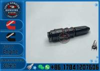 China New 3016675 3016676 3054218 3054220 3054228 3053124 207588 3001485 Common Rail Fuel Injector for  KTA19 QSK19 KTA38 KTA50 for sale