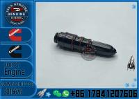 China New 3016675 3016676 3054218 3054220 3054228 3053124 207588 3001485 Common Rail Fuel Injector for  KTA19 QSK19 KTA38 KTA50 for sale