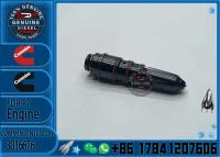 China New 3016675 3016676 3054218 3054220 3054228 3053124 207588 3001485 Common Rail Fuel Injector for  KTA19 QSK19 KTA38 KTA50 for sale