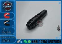 China New 3016675 3016676 3054218 3054220 3054228 3053124 207588 3001485 Common Rail Fuel Injector for  KTA19 QSK19 KTA38 KTA50 for sale