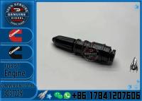 China High Quality Fuel Injector 3027588 3801128 3037229 3028066 3045102 for Engine L10 LTA10 for sale