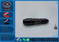 China New Fuel Injector 3047973 3030445 3016676 3022197 209986X 3071497 4914537 3054218 for  14.0L NH855 NT495 NT743 NT855 for sale