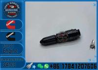 China New Fuel Injector 3047973 3030445 3016676 3022197 209986X 3071497 4914537 3054218 for  14.0L NH855 NT495 NT743 NT855 for sale