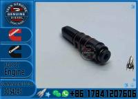China Generator Engine Machinery Injector Assembly 3054242 3054245 3054225 3054230 3047973 3047984 3054212 3054258 for sale