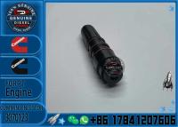 China Professional Factory Supplied for  NT855 Engine Injector 3070123 3054218 Construction Machinery Spare Parts for SD32 Mountain for sale