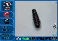 China NT855 Engine Fuel Injector Nozzle Assembly 3892659 3054218 3054253 for Construction Machinery Parts for sale
