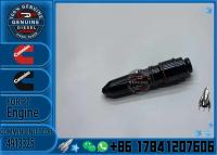 China Fuel Injector 3054223 4914308 3054253 4913325 for  N14 NT855 NTA855 Engine for sale