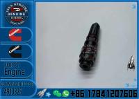 China Fuel Injector 3054223 4914308 3054253 4913325 for  N14 NT855 NTA855 Engine for sale