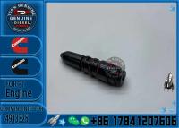 China Fuel Injector 3054223 4914308 3054253 4913325 for  N14 NT855 NTA855 Engine for sale