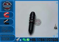 China Sufficient Stock Diesel Engine Injector Nozzle Assy 3032392/4914308/4914325 for NT855 Excavator Shantui Bulldozer SD22 Stainless for sale