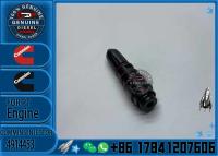 China Common Rail Diesel Fuel Injector Assembly 3054123 4914453 for  Engine PTN855 Series for sale