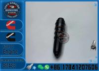 China Common Rail Diesel Fuel Injector Assembly 3054123 4914453 for  Engine PTN855 Series for sale