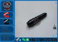 China Common Rail Diesel Fuel Injector Assembly 3054123 4914453 for  Engine PTN855 Series for sale