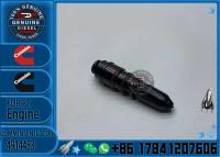 China Common Rail Diesel Fuel Injector Assembly 3054123 4914453 for  Engine PTN855 Series for sale