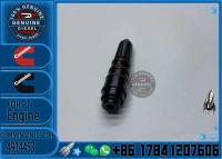 China Common Rail Diesel Fuel Injector Assembly 3054123 4914453 for  Engine PTN855 Series for sale