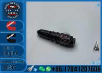 China Diesel Engine 4914452 3079946 4914505 3054220 NTA855 NH855 NT855 Fuel Injector Nozzle for  Parts for sale