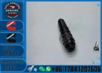 China Diesel Engine 4914452 3079946 4914505 3054220 NTA855 NH855 NT855 Fuel Injector Nozzle for  Parts for sale