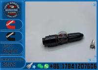 China Diesel Engine 4914452 3079946 4914505 3054220 NTA855 NH855 NT855 Fuel Injector Nozzle for  Parts for sale