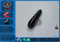 China Diesel Engine 4914452 3079946 4914505 3054220 NTA855 NH855 NT855 Fuel Injector Nozzle for  Parts for sale