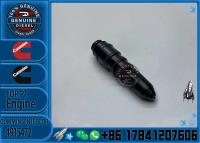 China Common Rail Fuel Injector 4913325 3054228 3069767 4915472 for sale