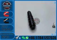 China Common Rail Fuel Injector 4913325 3054228 3069767 4915472 for sale