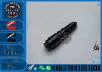China Common Rail Fuel Injector 4913325 3054228 3069767 4915472 for sale