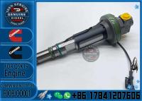 China Genuine Fuel Injector Assembly 4964170 4964171 2867149 F00BJ00005 F0OBJOO001 for Qsk19 Engine for sale