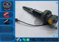 China 4955524 Diesel Fuel Injector for  QSK19 38 50 60 F00BL0J019 Y431K05429 Common Rail Injection Valves for sale