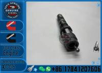 China Injector Nozzle Assembly 6560-11-1114 4902827 4077076 4062090 6560-11-1110 QSK19 QSK23 QSK60 Engine Series for sale